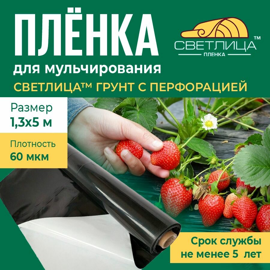 Пленка для мульчирования Светлица Грунт, 60 мкм, 1,3х5 м, с перфорацией, двусторонняя