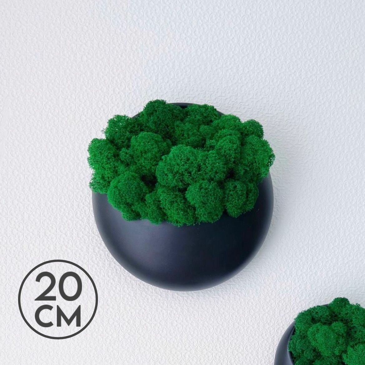 Настенное декоративное кашпо 20 см 1 шт черного цвета со стабилизированным мхом на стену интерьерное сухоцветы, Molecula Decor