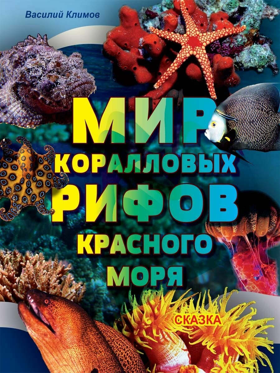 Познаем мир вокруг нас книги для детей Мир Красного моря