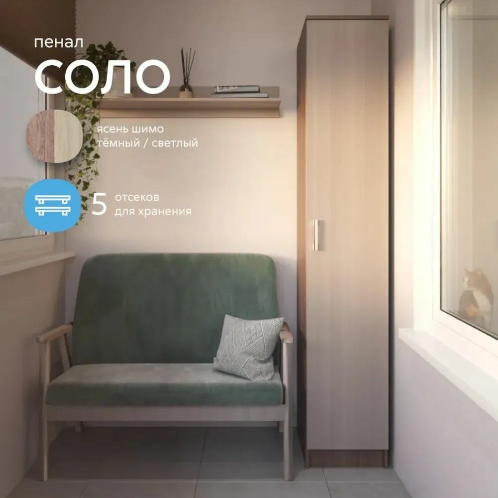 ЛДСП Шкаф соло Ясень Шимо