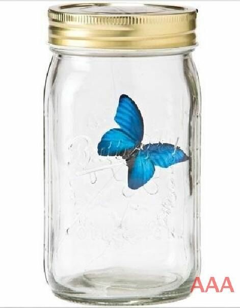 Бабочка в банке с подсветкой