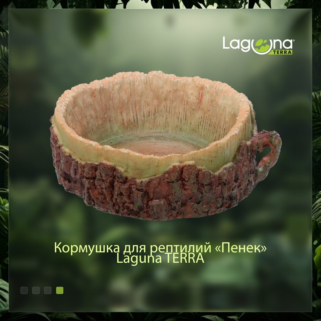 Кормушка для рептилий в террариум "Пенек" S, 9*8*2см Laguna TERRA