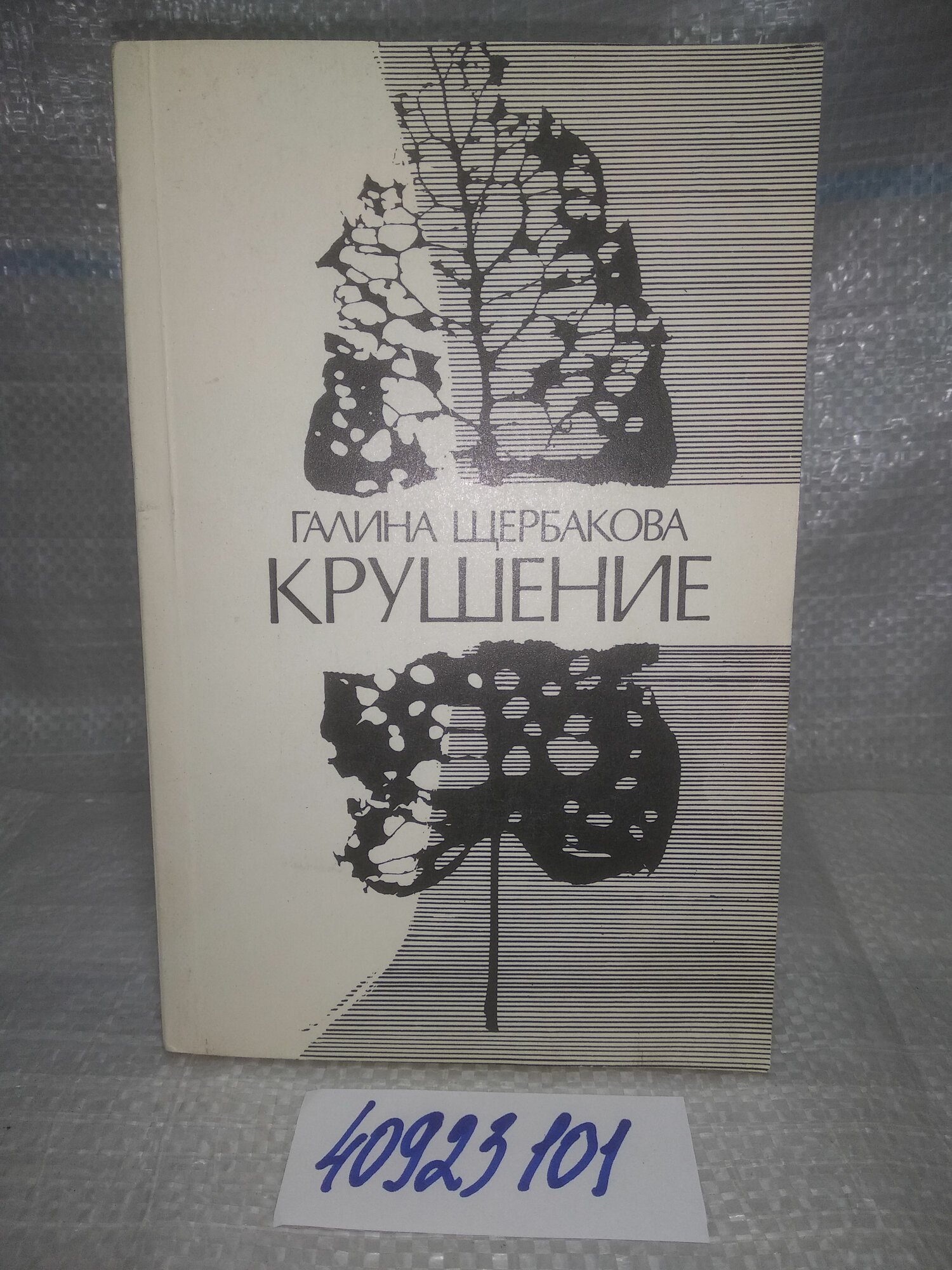 Крушение, Щербакова Г.