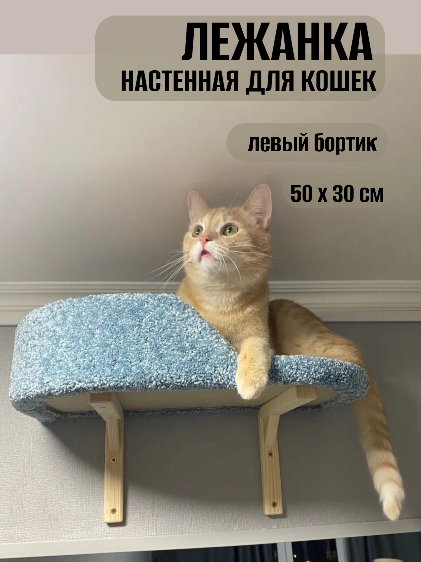 Лежанка для кошек, настенная, Моя Котя, левосторонняя, ковролин бирюзовый
