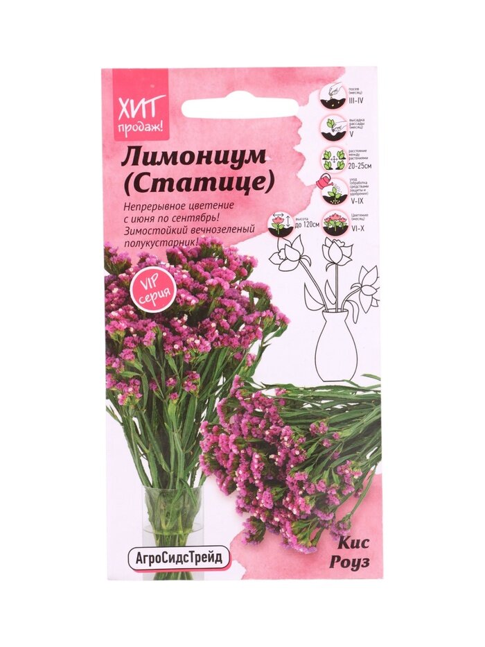 Семена цветов Лимониум (Статице) «Кис Роуз» 10 шт.
