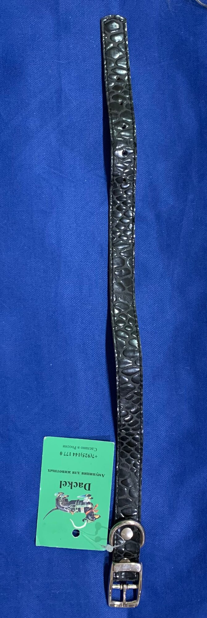 Ошейник для собак