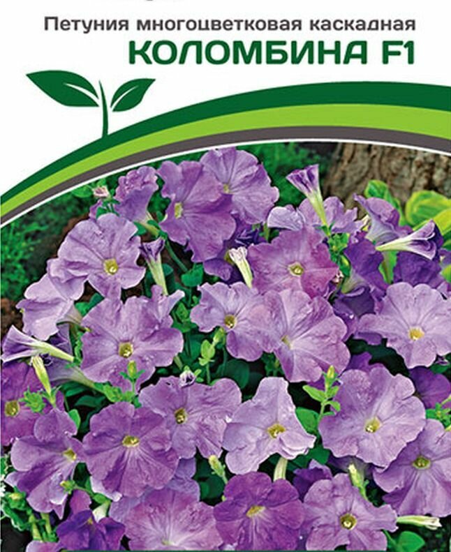 Петуния Итальянка Коломбина F1 каскадная голубая