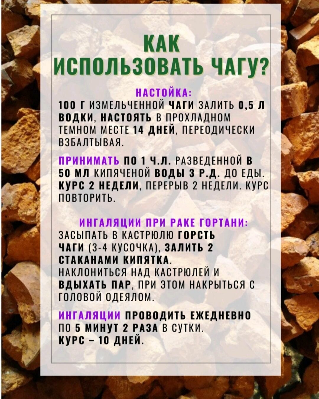 Чага сухая 100г. — фото 1