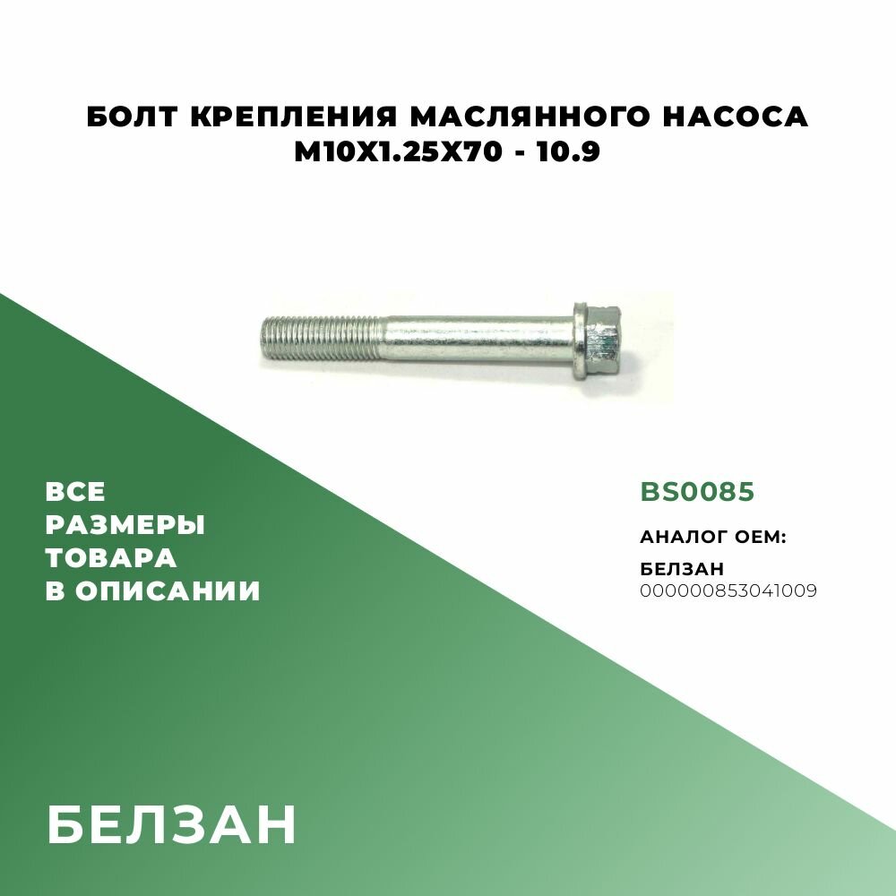 Болт маслянного насоса M10x70x1,25-10.9; ОЕМ-000000853041009