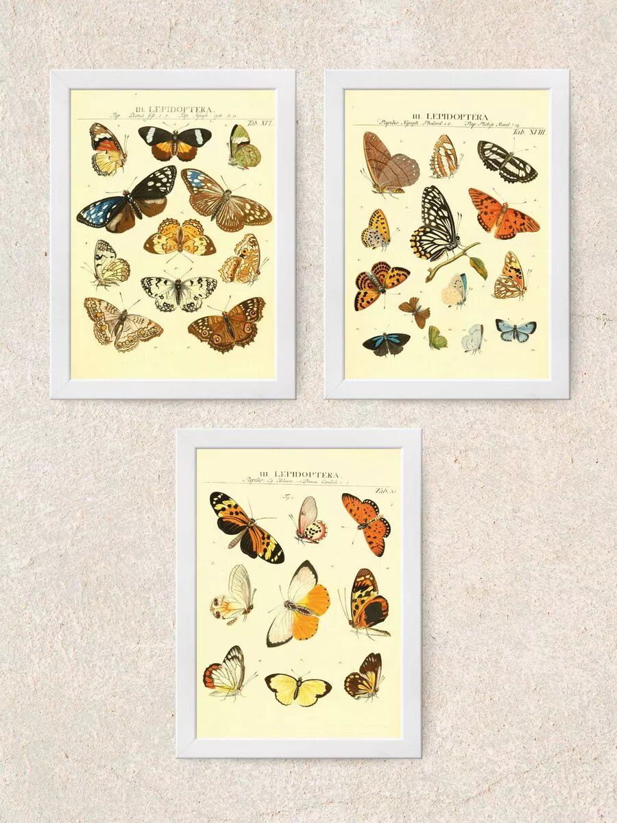 Набор интерьерных постеров Бабочки А3 (плакат)