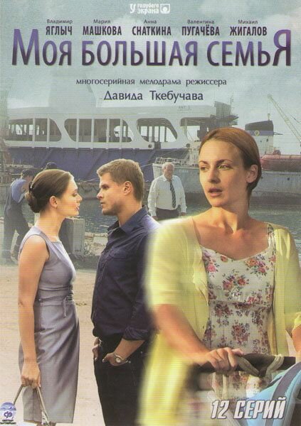Моя большая семья (12 серий) (DVD)