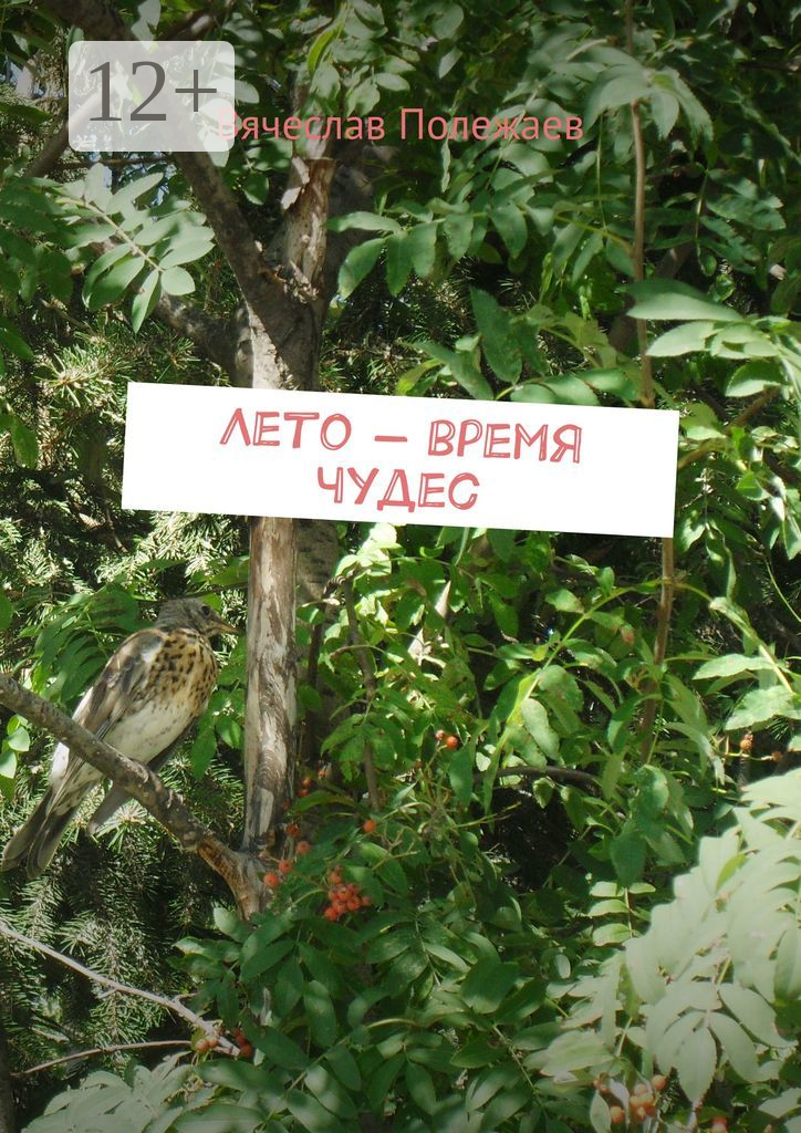 Лето  — время чудес
