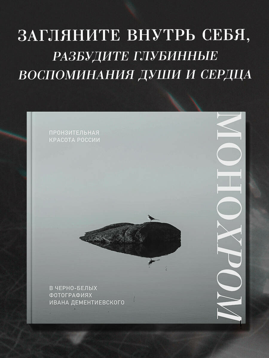 Дементиевский И. С. Монохром. Пронзительная красота России в черно-белых фотографиях Ивана Дементиевского