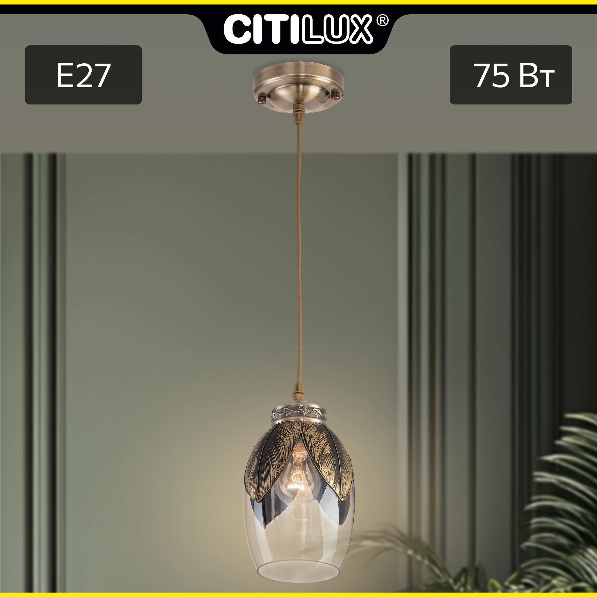 Светильник для дома подвесной Citilux Garuda CL420013, бронза