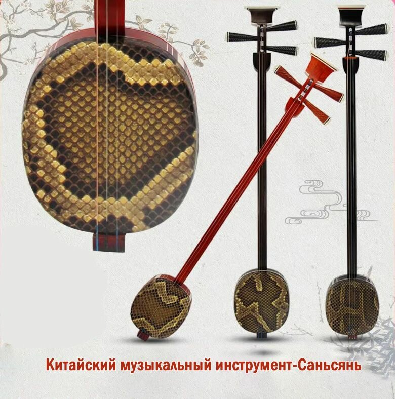 Струнный инструмент