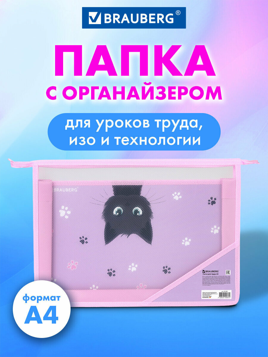 Папка для тетрадей, труда, рисования и изо А4 для девочки на молнии, канцелярия для школы, органайзер 2 отделения, Brauberg Hide and seek, 273399