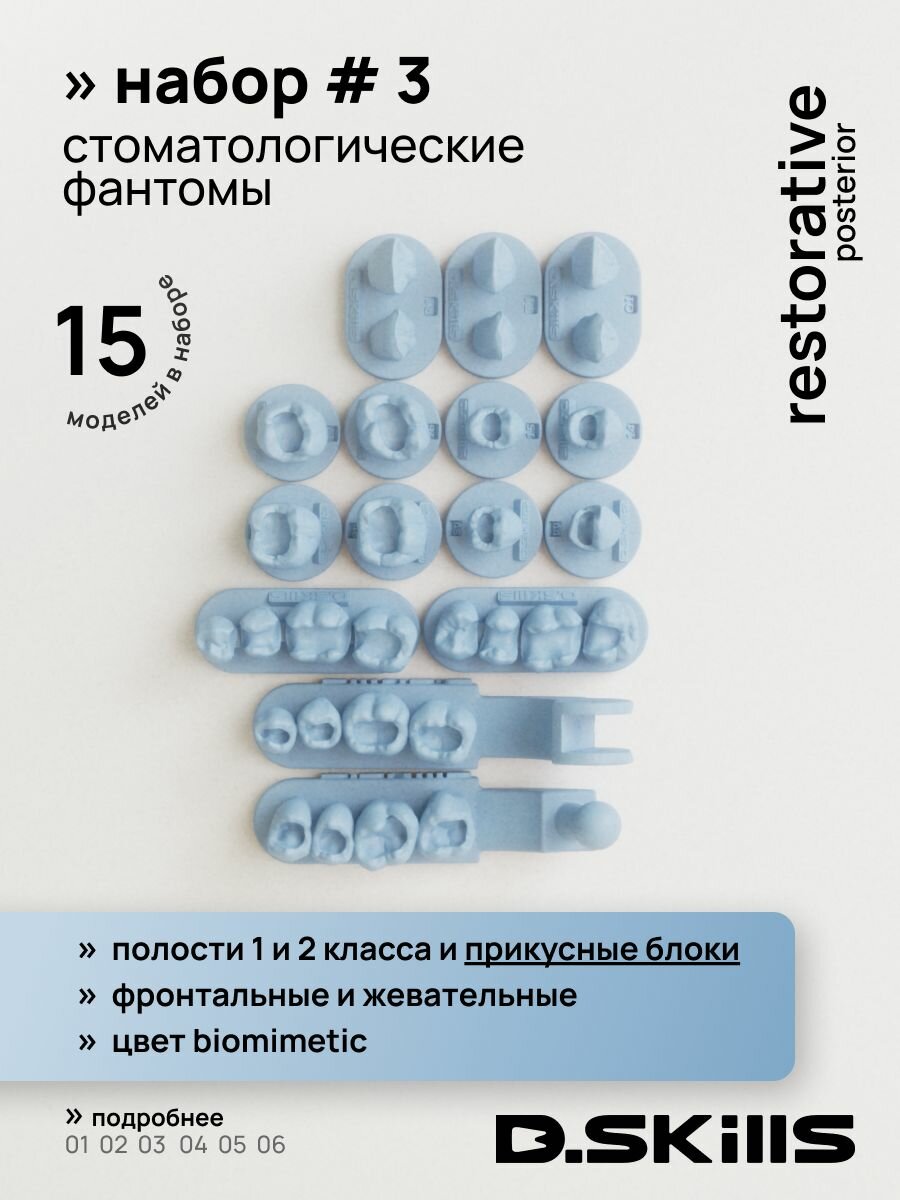 SET #3 Модели зубов для реставрации + прикусные блоки