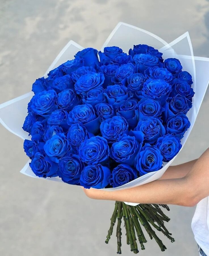 Букет из синих роз 51 шт, красивый букет цветов, шикарный, премиум цветы, премиум букет