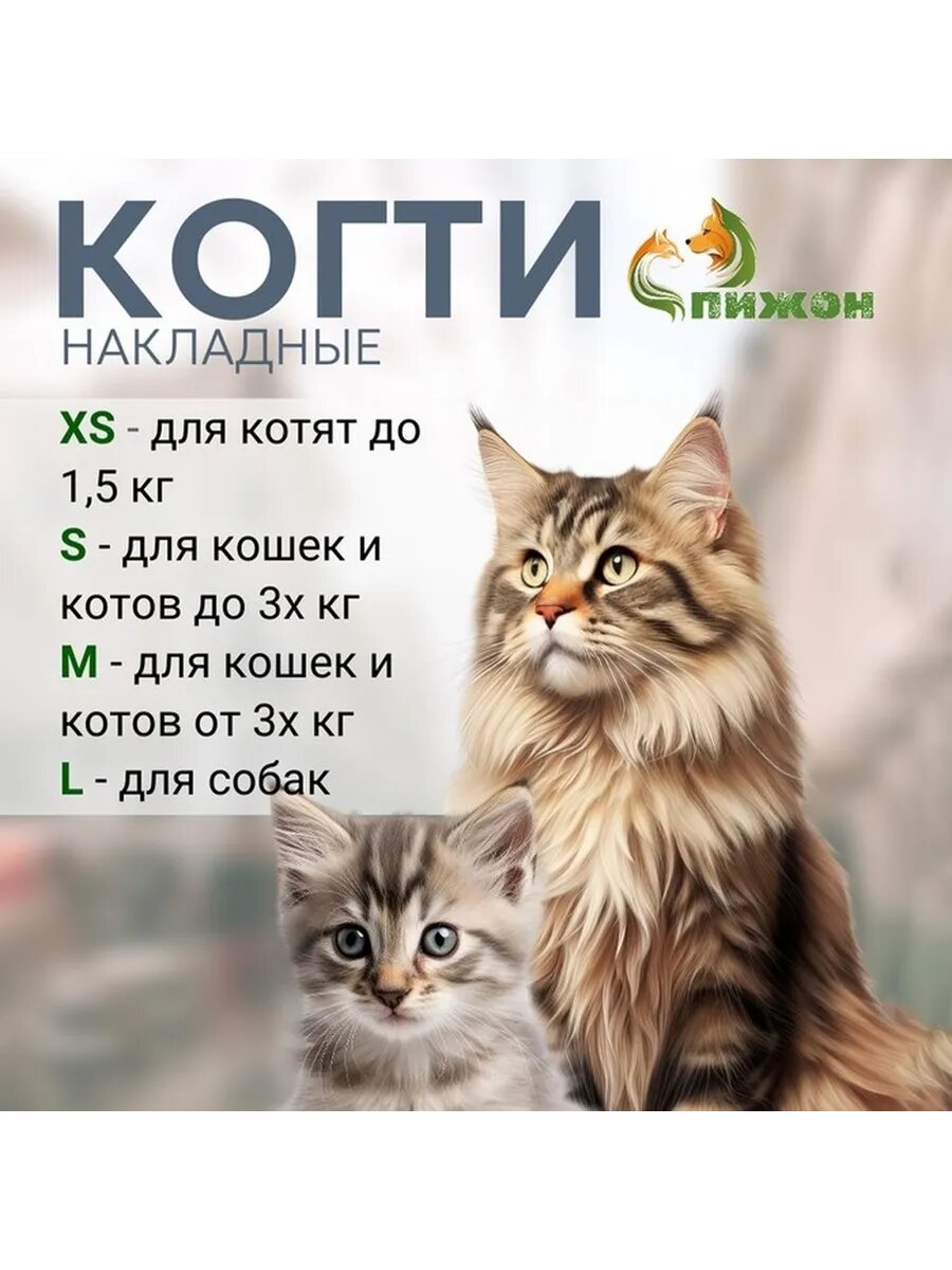 Безопасные светящиеся когти для мелких питомцев