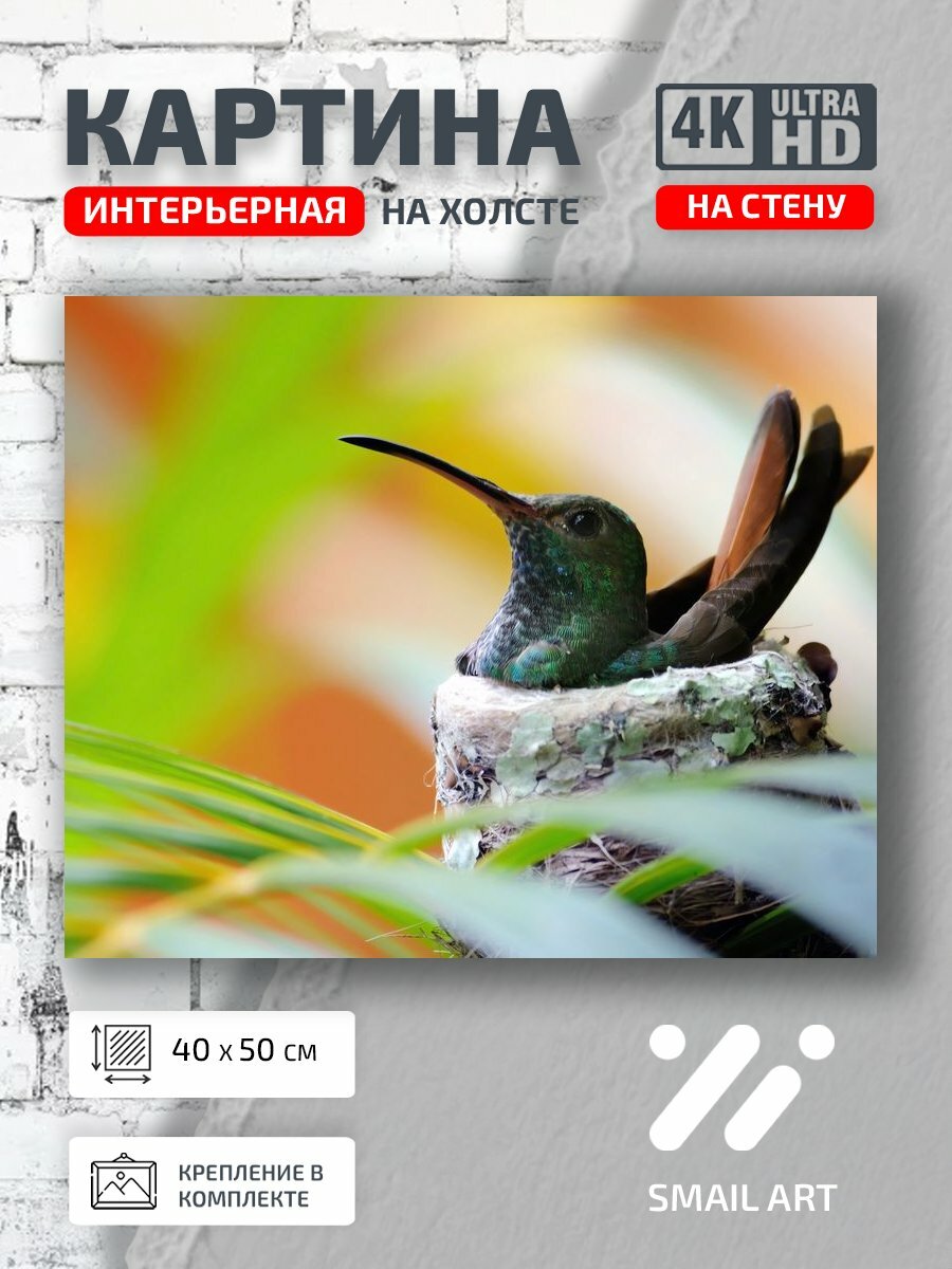 Картина на холсте интерьерная 40 на 50 на стену Птица Landscape для гостиной пейзаж декор