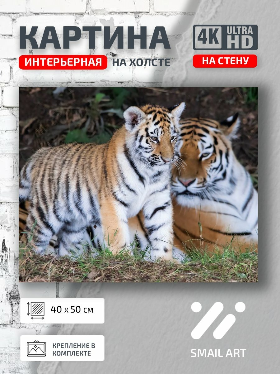 Картина на холсте интерьерная 40 на 50 на стену Тигры tigers для кабинета пейзаж интерьер