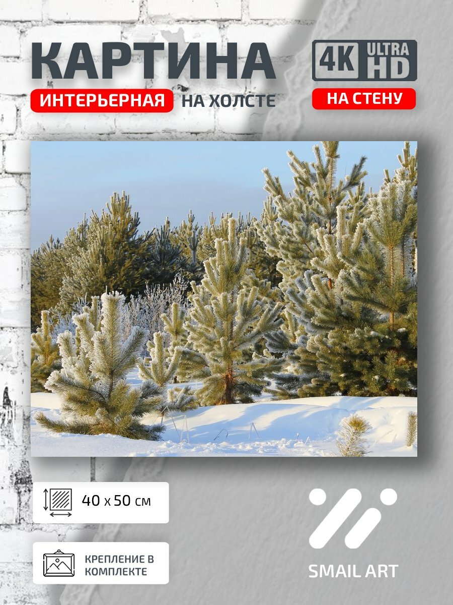 Картина на холсте интерьерная 40 на 50 на стену Снег Landscape для кабинета пейзаж интерьер