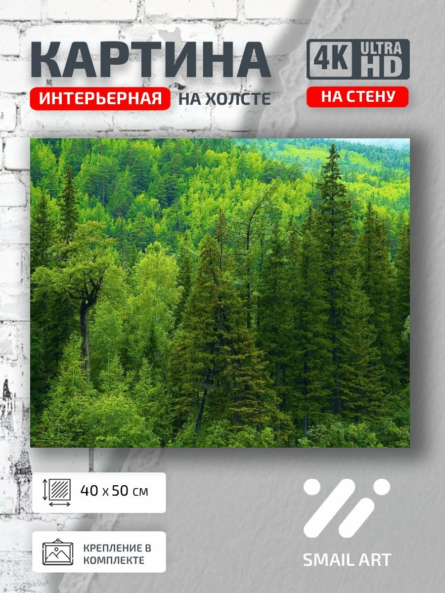 Картина на холсте интерьерная 40 на 50 на стену Лето Landscape для офиса пейзаж интерьер