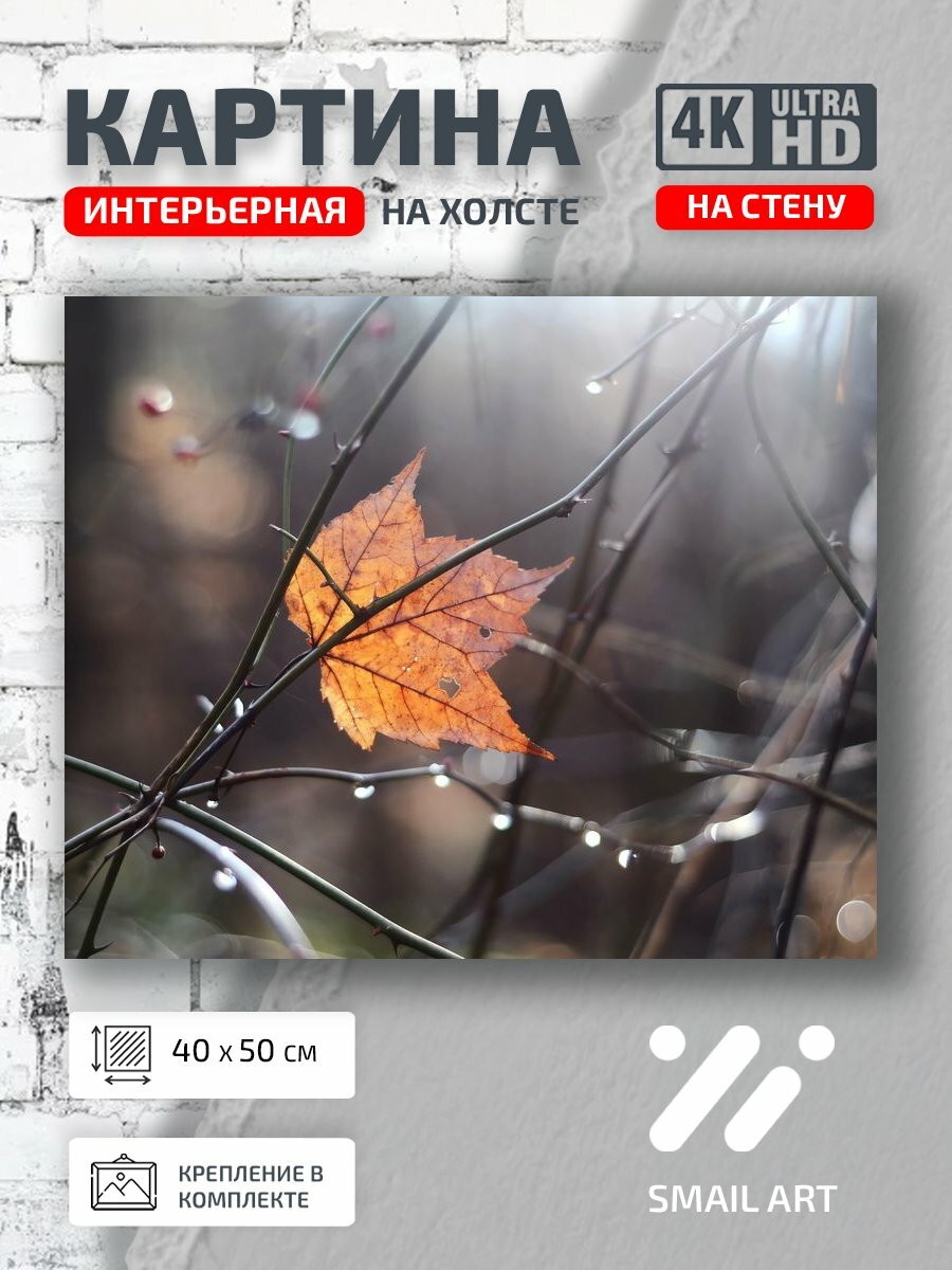 Картина на холсте интерьерная 40 на 50 на стену Дождь Landscape для офиса пейзаж интерьер