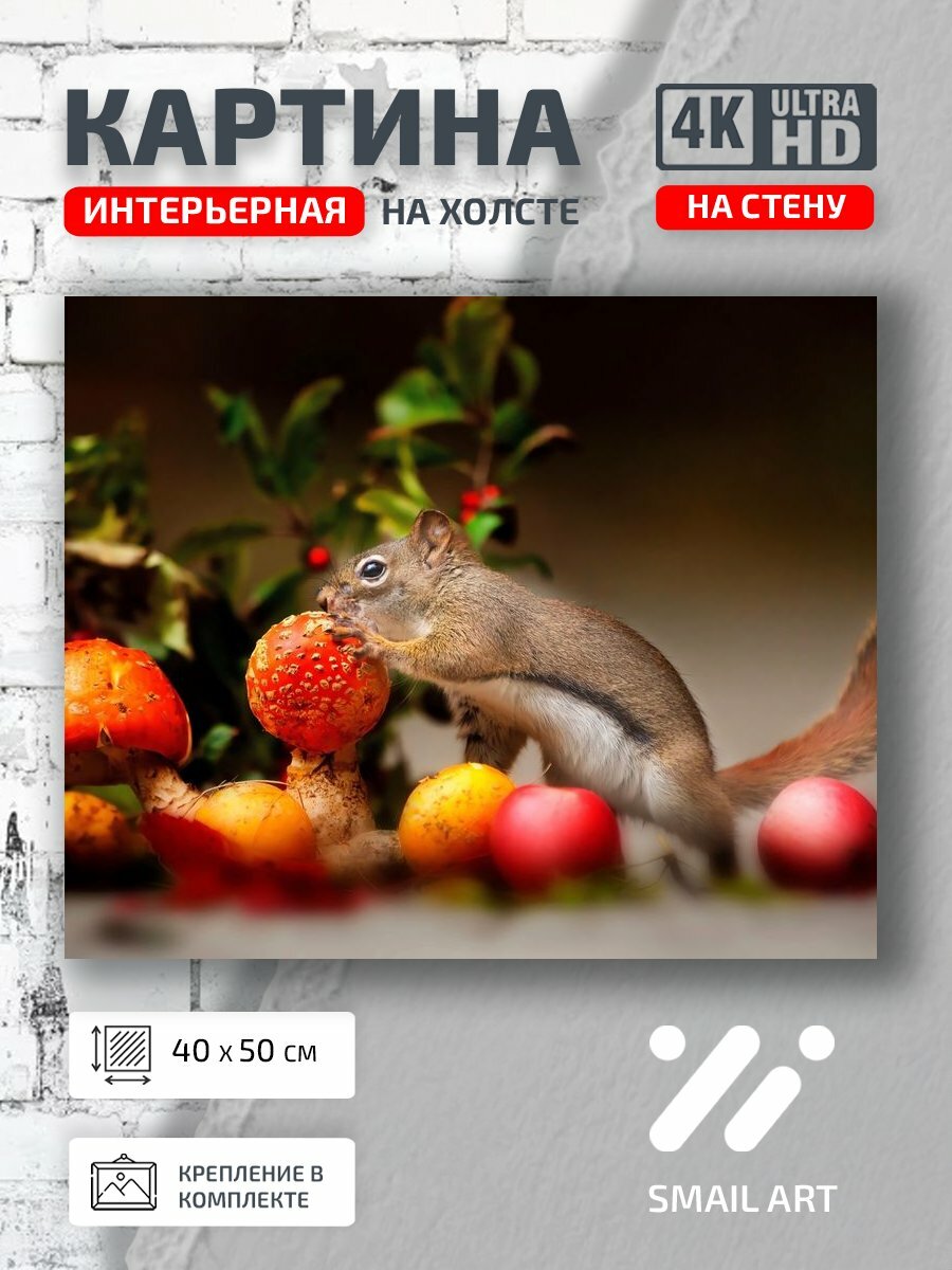 Картина на холсте интерьерная 40 на 50 на стену Мухомор Mood для гостиной атмосфера декор