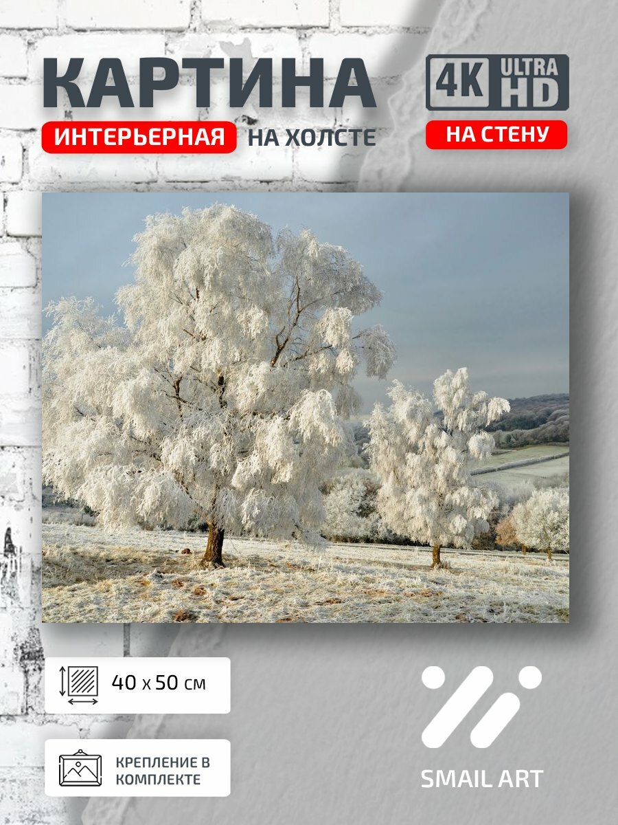 Картина на холсте интерьерная 40 на 50 на стену Инее Landscape для спальни пейзаж интерьер