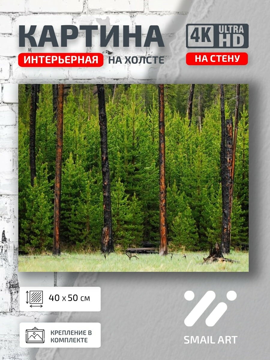 Картина на холсте интерьерная 40 на 50 на стену национальный парк для кафе пейзаж