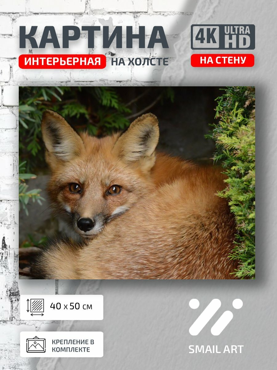 Картина на холсте интерьерная 40 на 50 на стену Лисенок Mood для спальни атмосфера интерьер