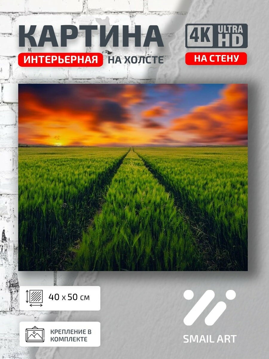 Картина на холсте интерьерная 40 на 50 на стену Зеленая трава для кабинета пейзаж