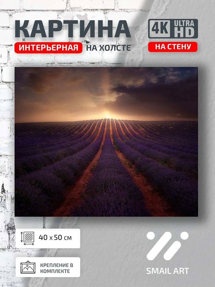 Картина на холсте интерьерная 40 на 50 на стену Природа лаванда для кабинета пейзаж