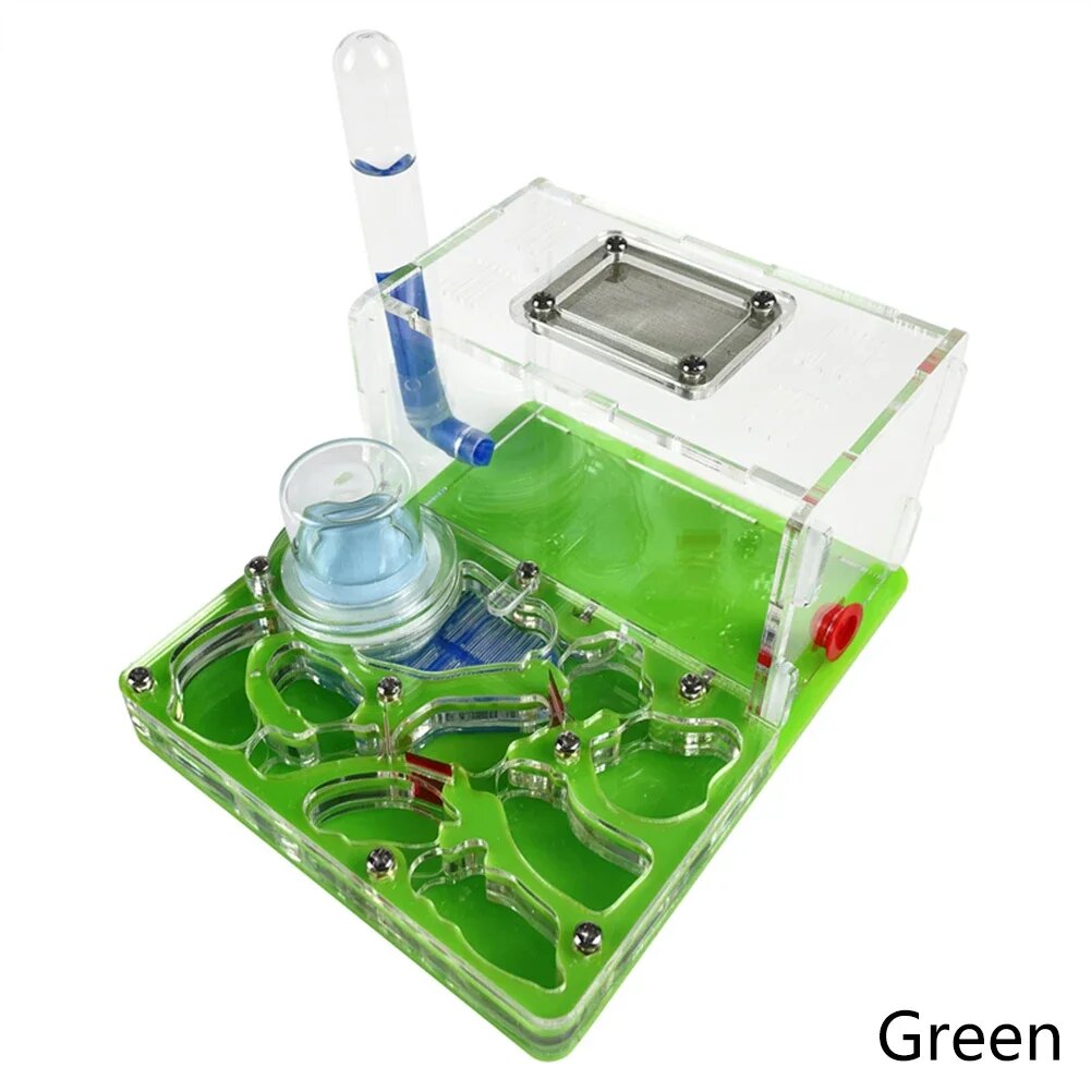 Акриловая муравьиная ферма DIY Зеленый, Green