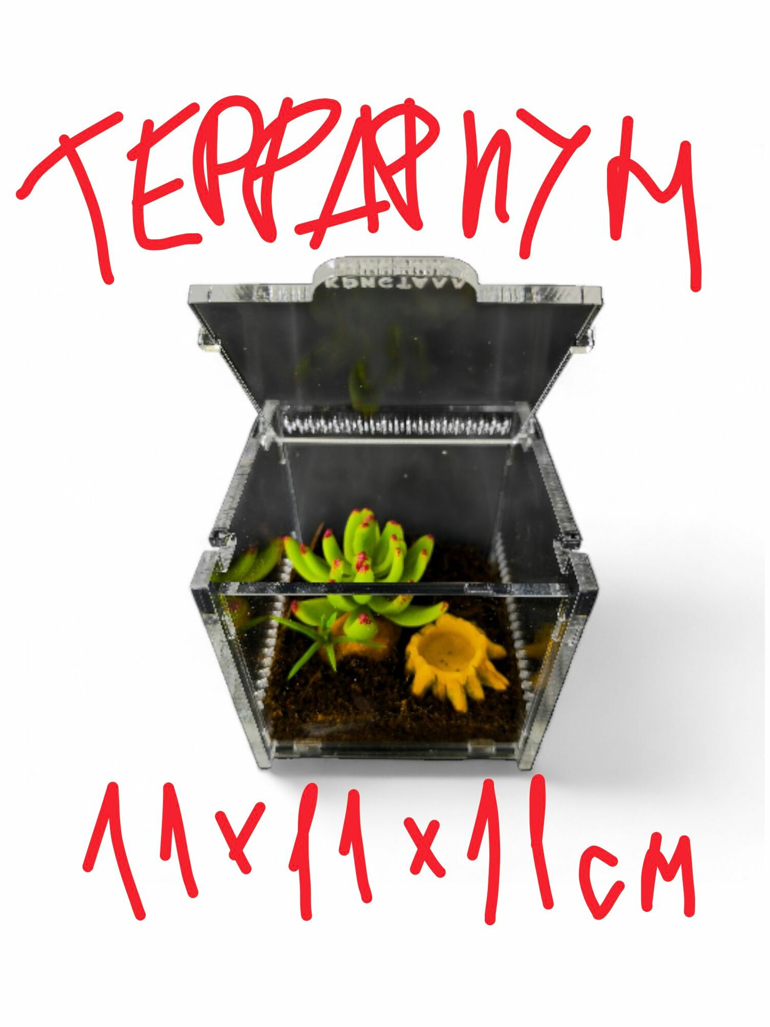 Террариум 11х11х11