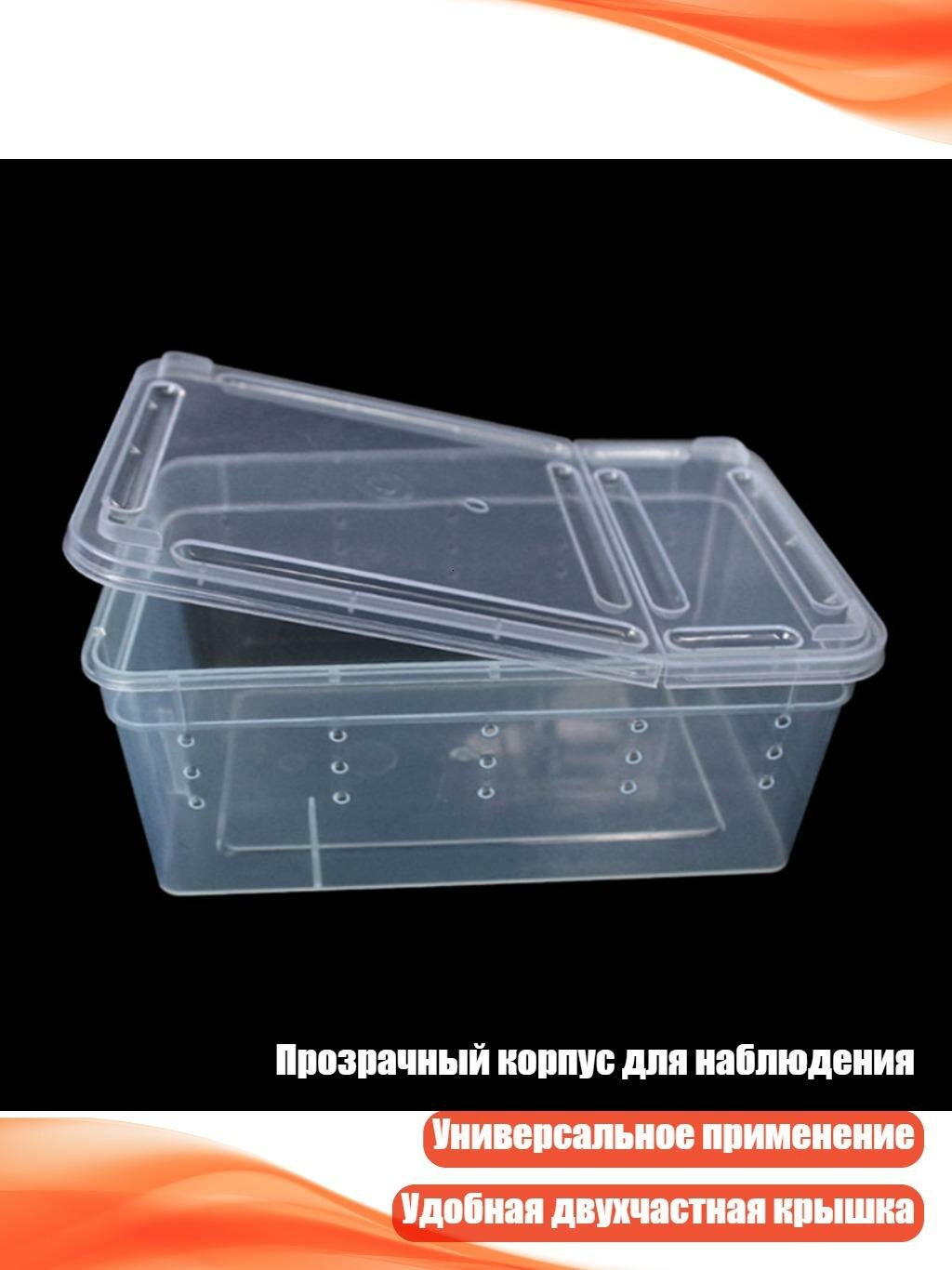 Прозрачный контейнер для кормления рептилий