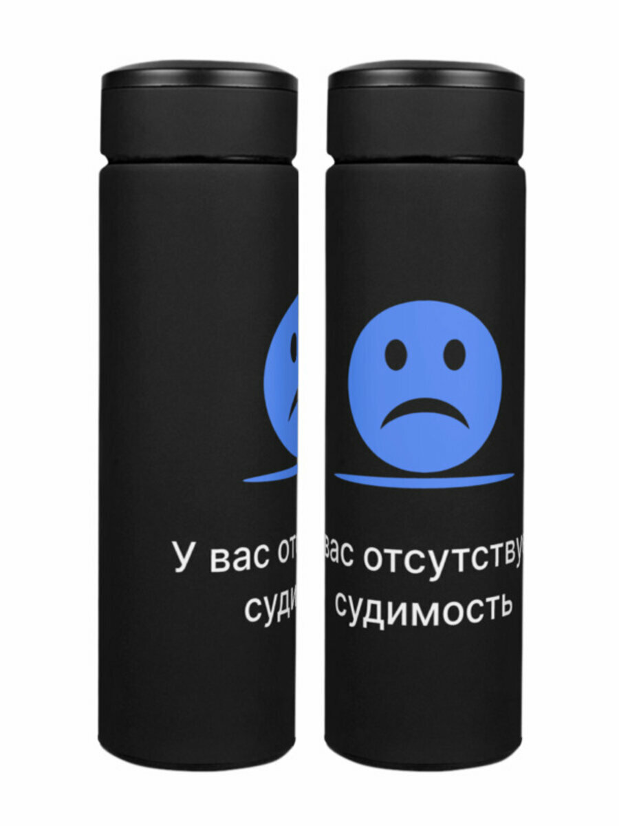 Термос «у вас отсутствует судимость мем» (черный)