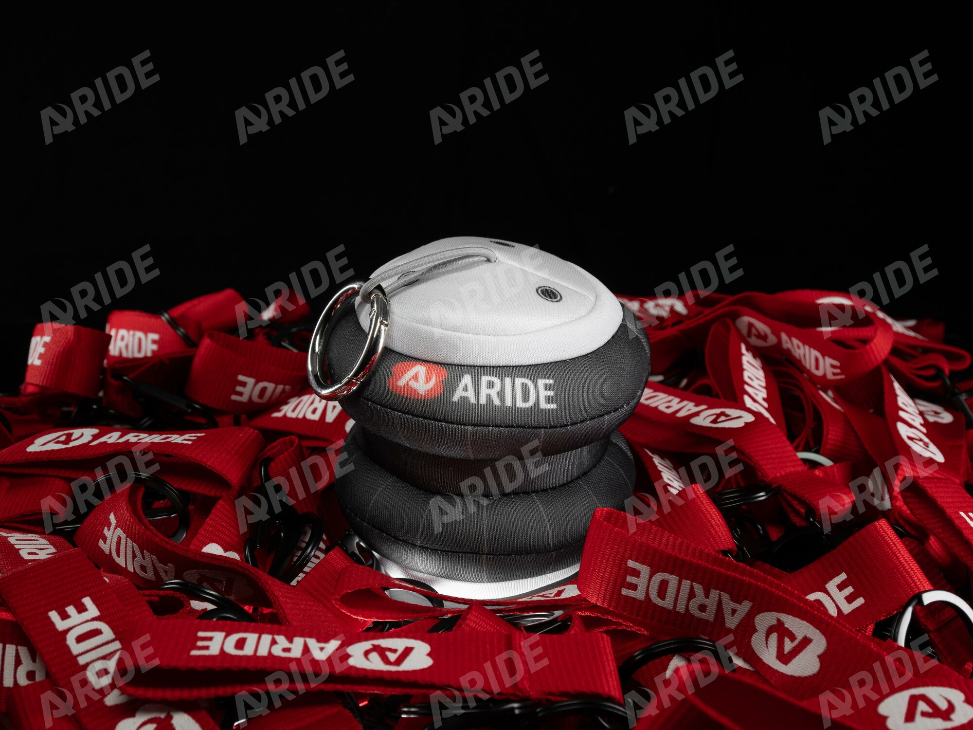  Aride