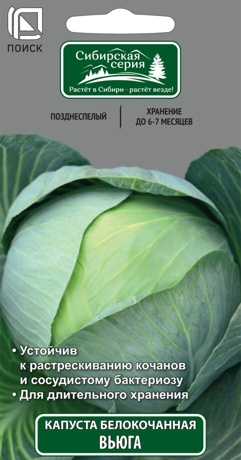 Семена Капуста белокочанная «Вьюга», для дачи, сада, огорода и на рассаду