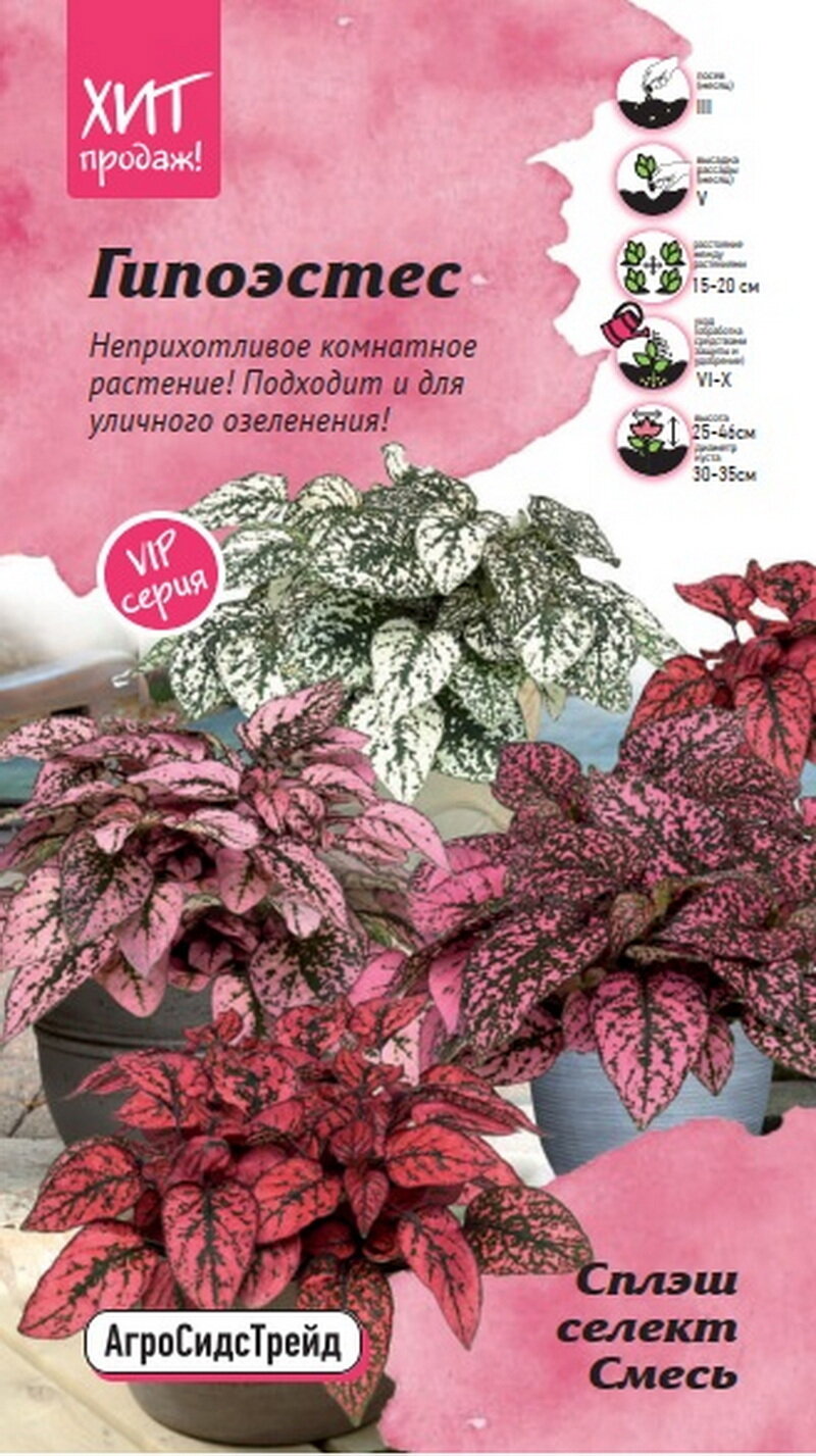 Семена цветов Агросидстрейд гипоэстес Сплэш селект микс 5 шт, для дачи, сада, огорода и на рассаду