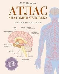 Книга "Атлас анатомии человека. Нервная система"