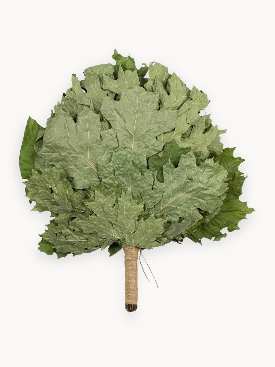 Набор веников из канадского дуба 3шт. Премиум, свежий сбор