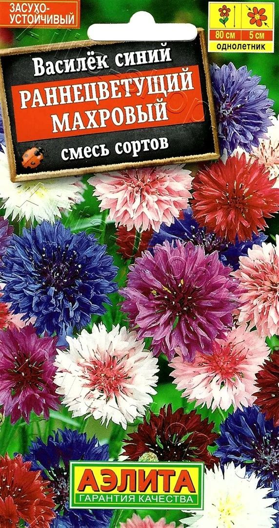 Семена "Василек Раннецветущий махровый, смесь сортов"
