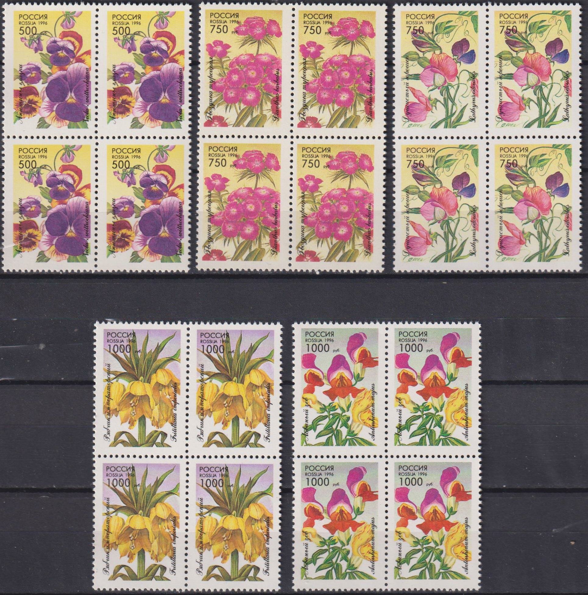 Почтовые марки Россия 1996г. "Декоративные растения скверов, садов и парков" Цветы MNH