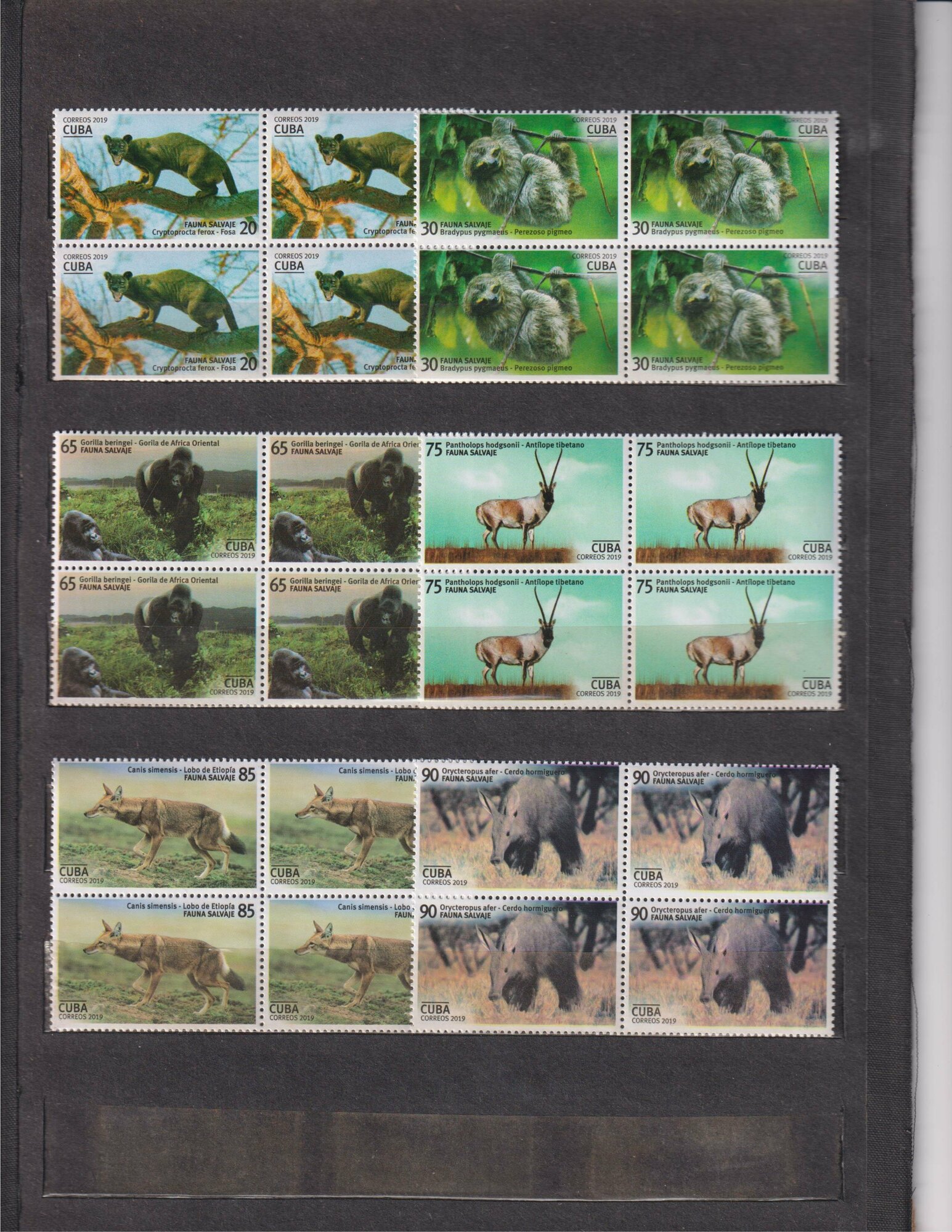 Почтовые марки Куба 2019г. "Дикая фауна" Флора, Фауна MNH
