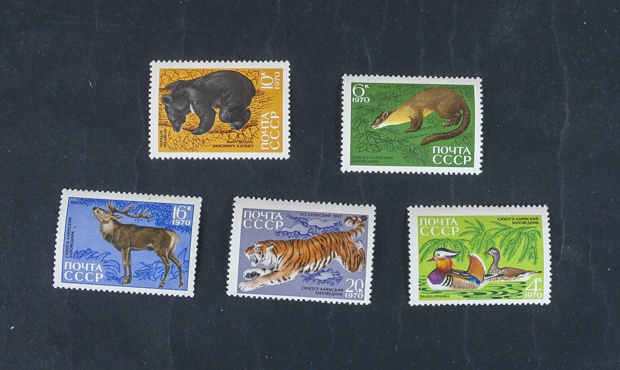 СССР 1970 Фауна Сихотэ-Алиньского заповедника.