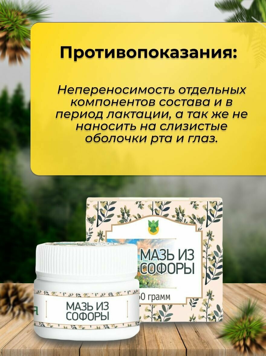 Мазь из софоры "Благодея-Алтай" 50 гр — фото 1
