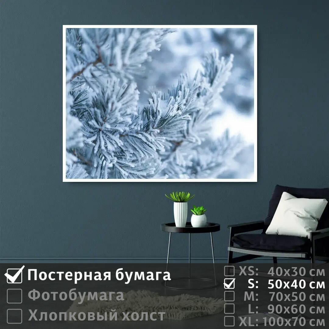 Постер на стену Ветка Сосны В Зимнем Лесу 50х40 см ПолиЦентр