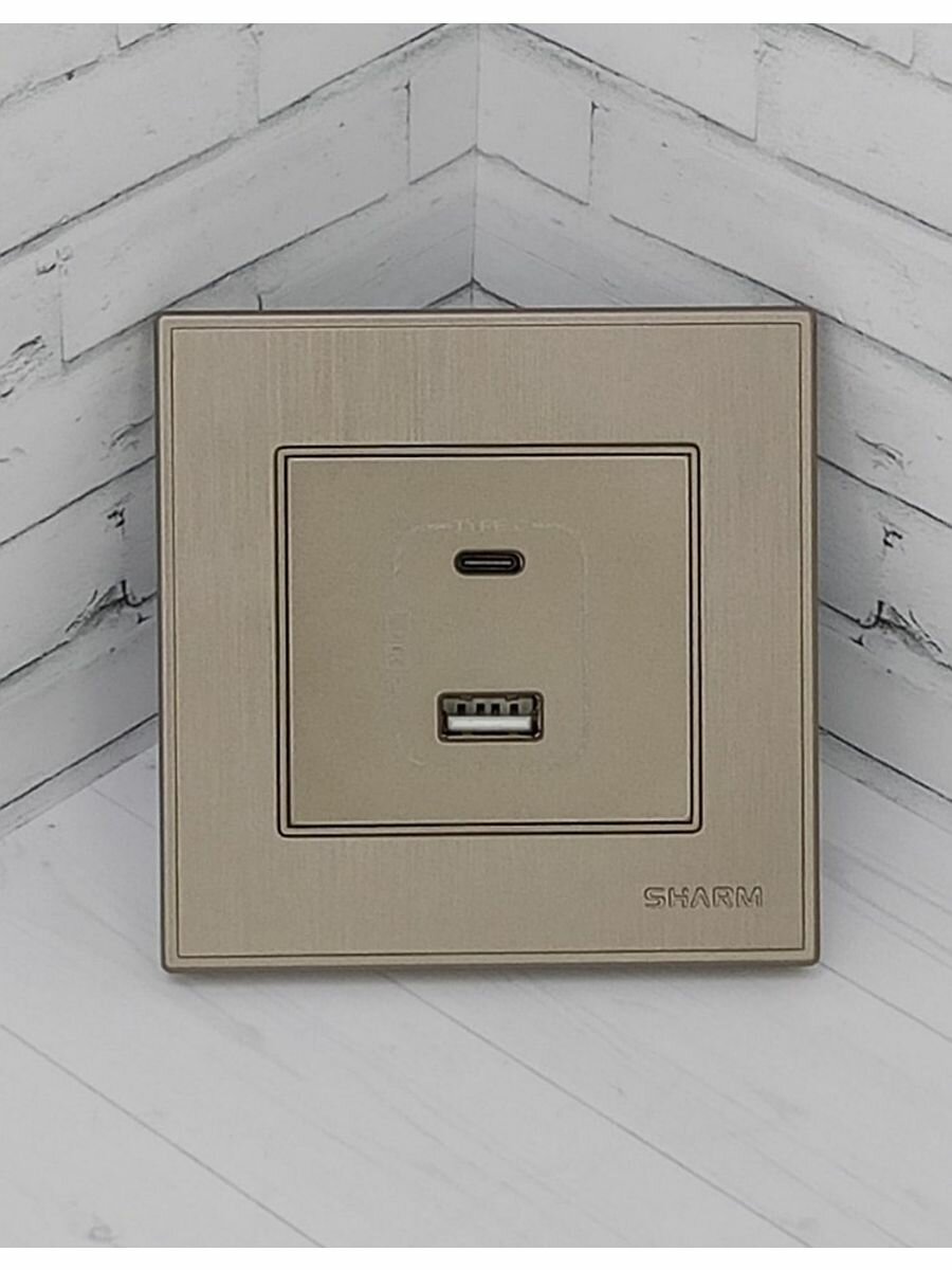 Розетка с USB+ TYPE DS5V 551
